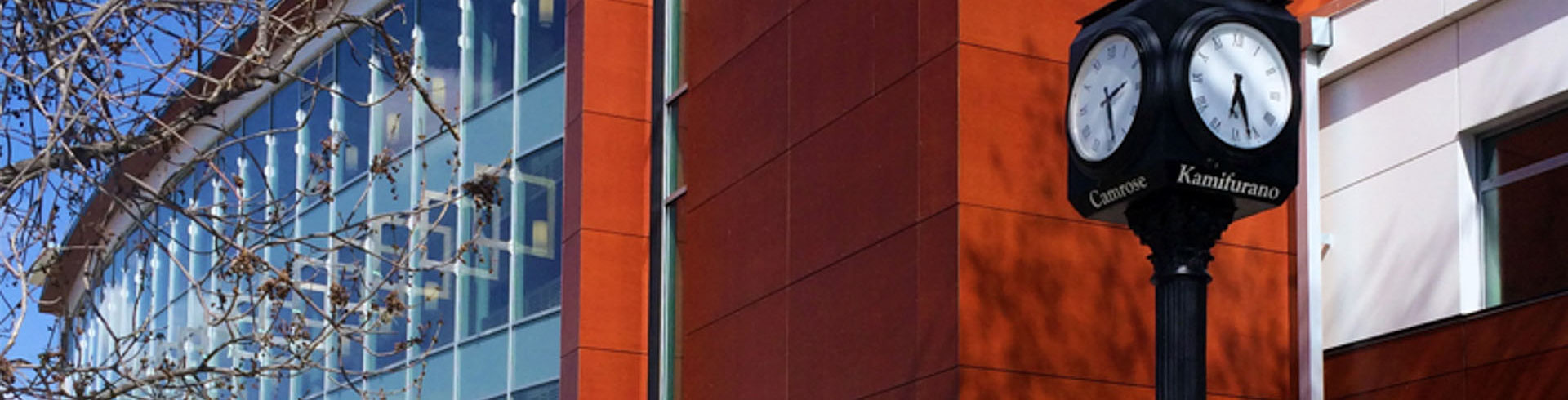 Camrose City Hall | BPA